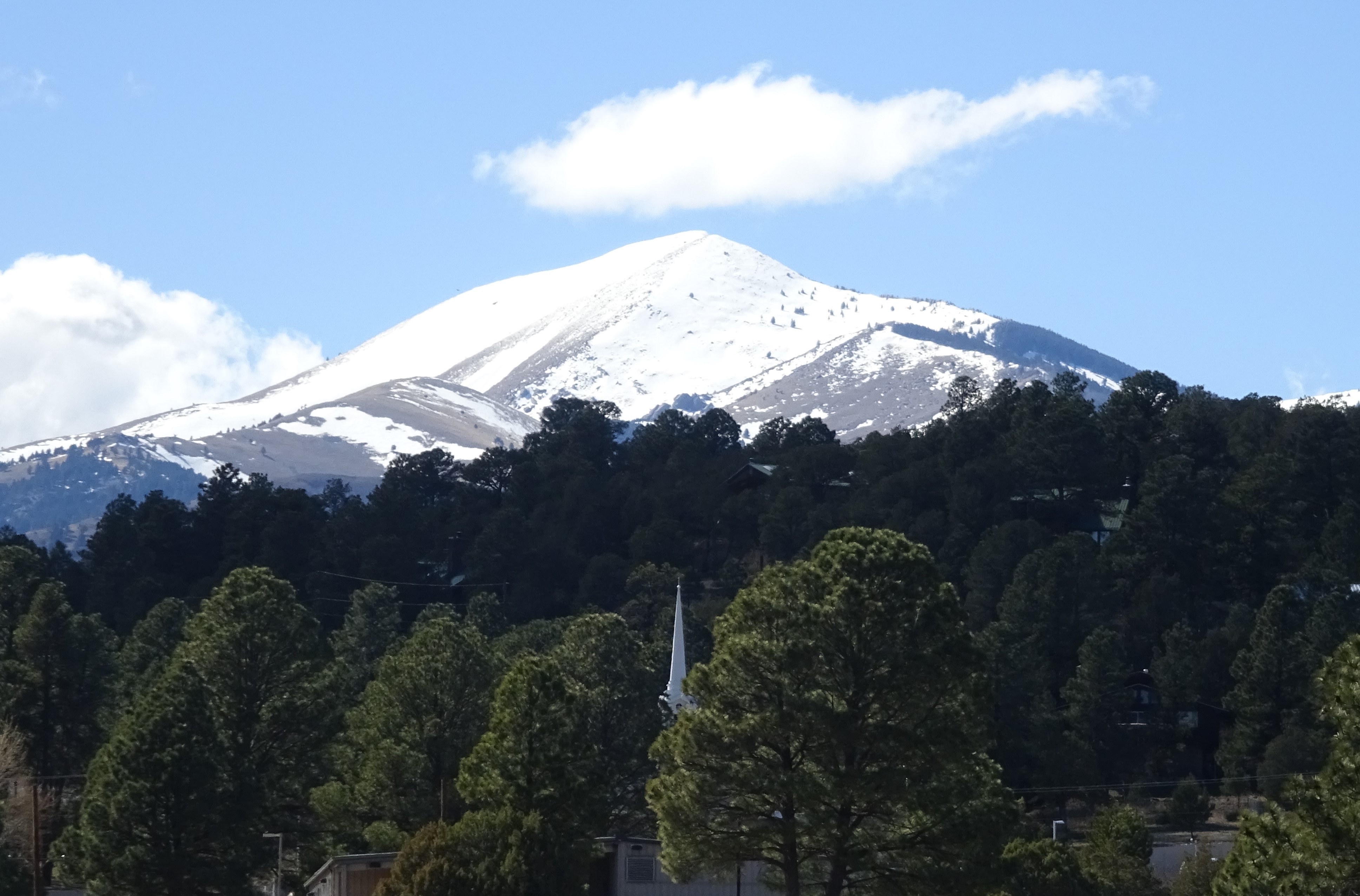 March Mountain Garden – Contemplation Garden